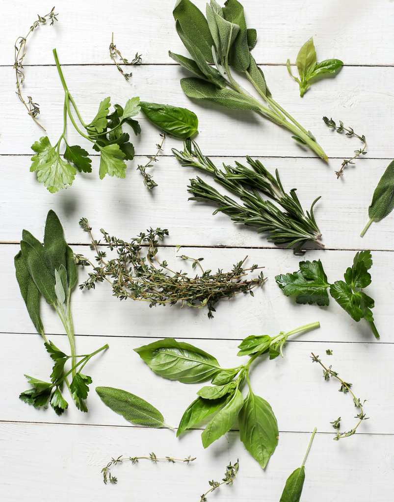 Phytotherapy - Julia Behrens - Herbal Consultant